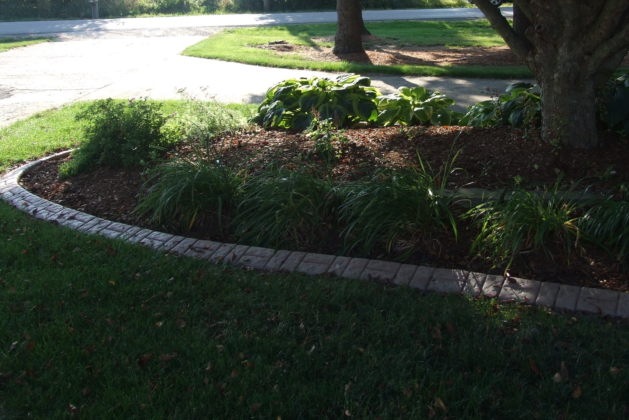 Concrete Edging Borders | Designer Landscapes