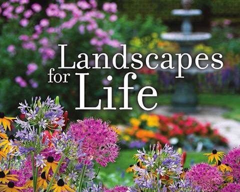 About Designer Landscapes | Full-Service Landscaping