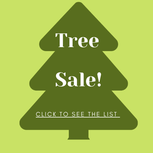 Designer Landscapes | Quality Design & Installation