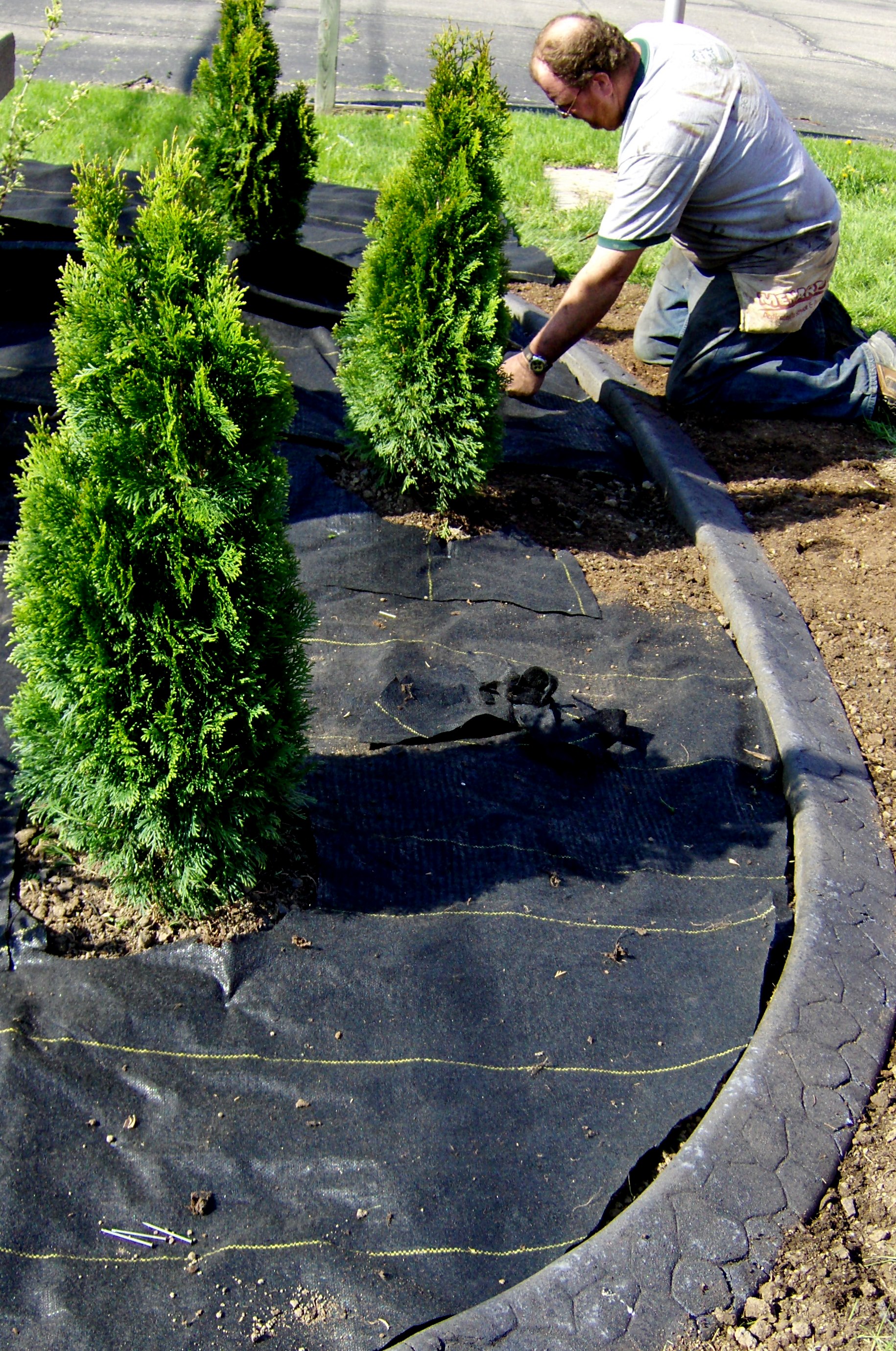 Concrete Edging Borders | Designer Landscapes